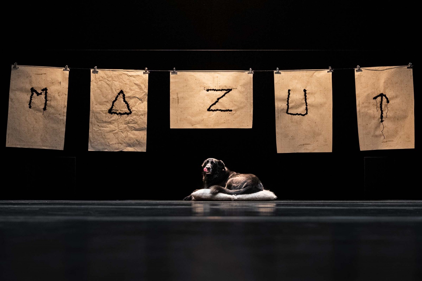 « Mazùt », de Baro d’evel MC93, Maison de la Culture de Seine-Saint ...