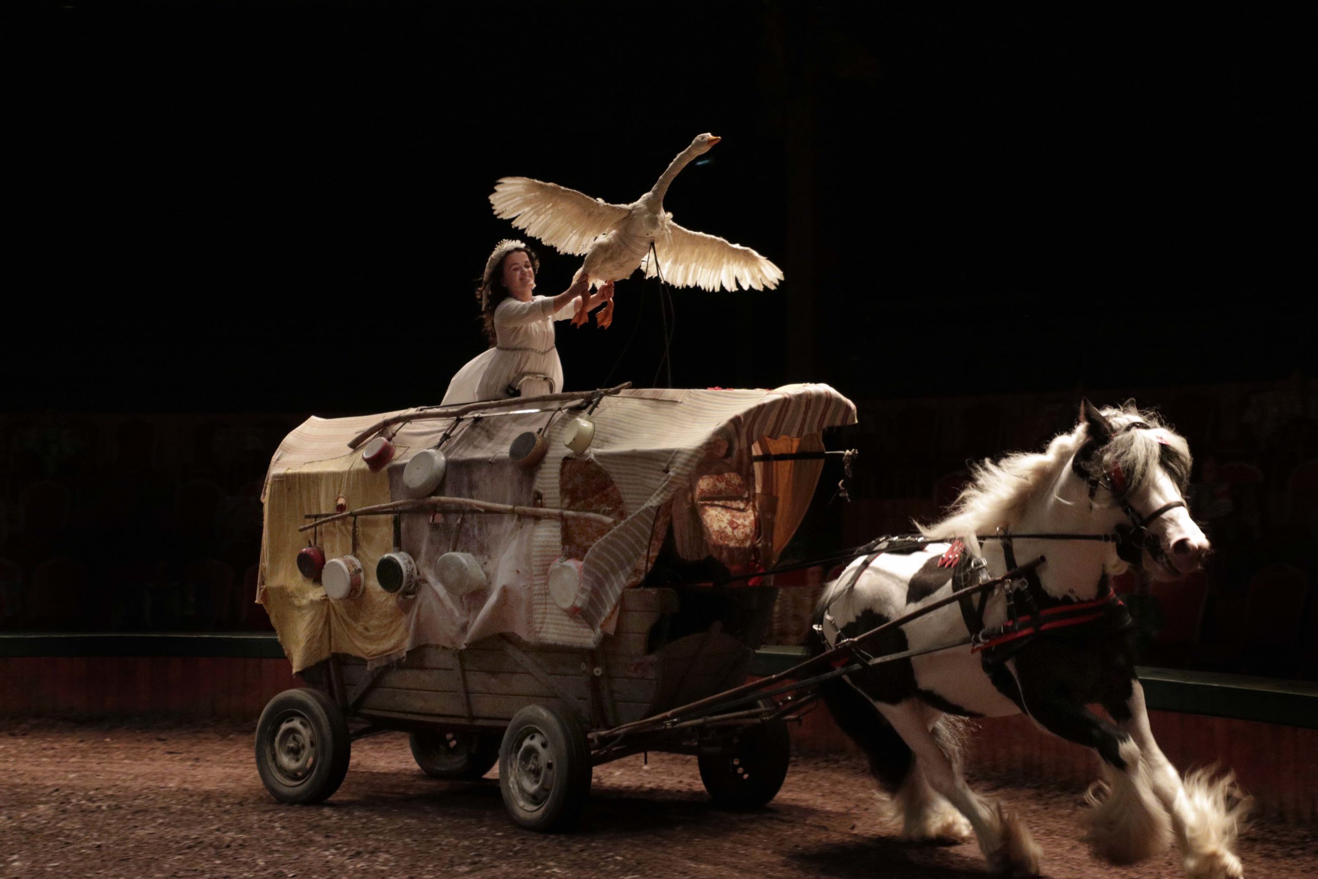 « Cabaret de l’exil, Irish Travellers », Théâtre équestre Zingaro, Fort ...